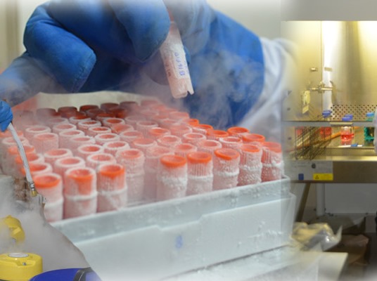 National Centre for Cell Science