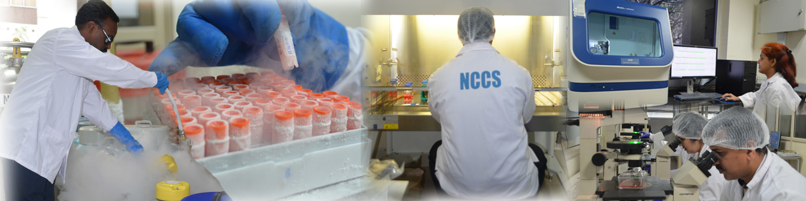 National Centre for Cell Science